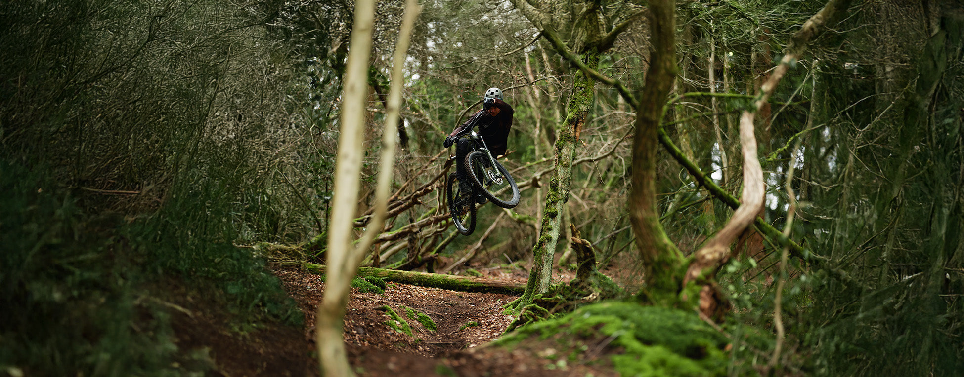 T-160 – Whyte Bikes